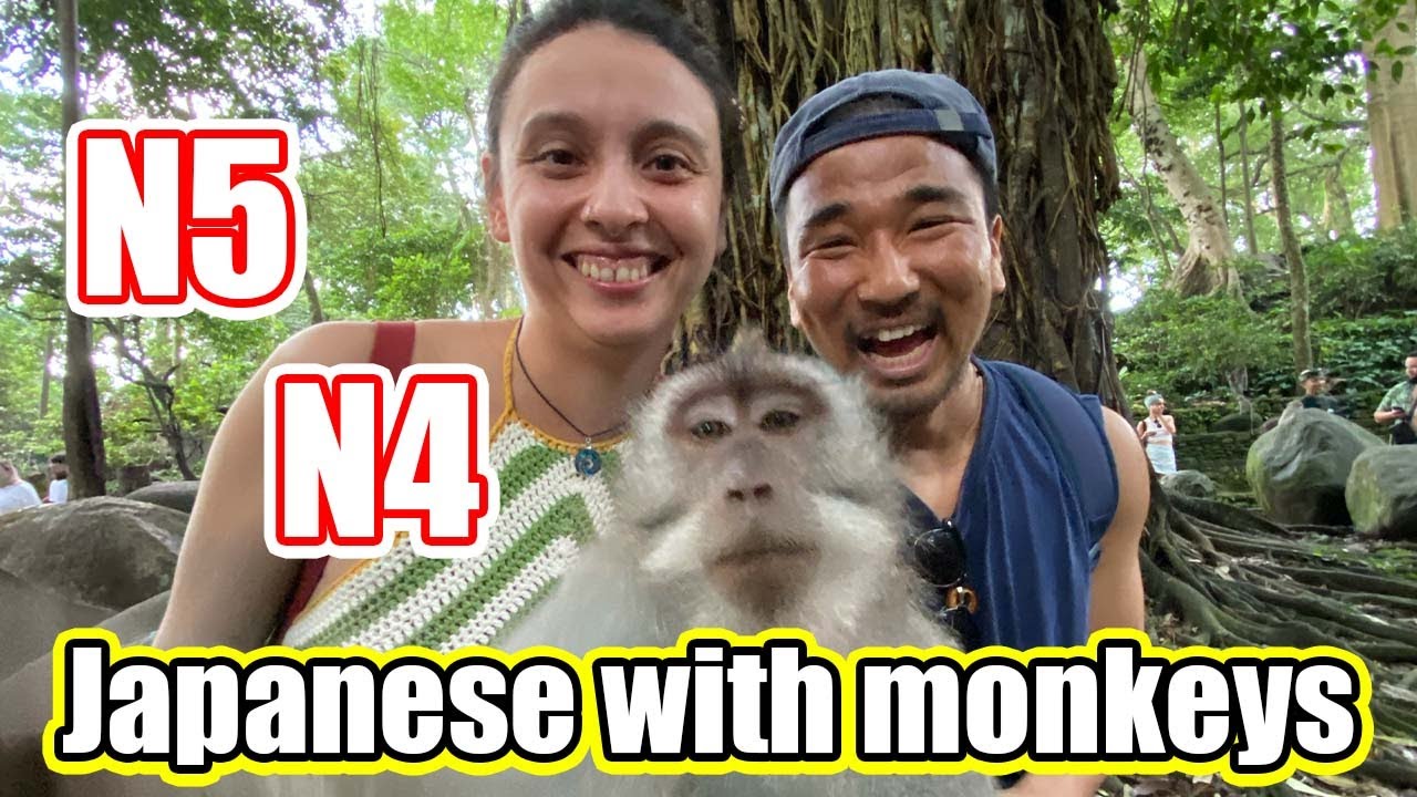【N5-N4】Bali Ubud with monkeys - Easy Japanese Vlog - YouTube