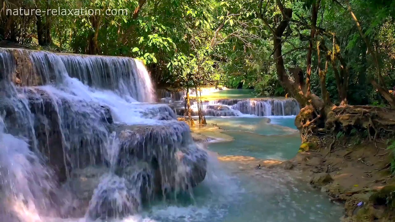 Waterfall & Jungle Sounds 2 Relaxing Tropical Rainforest Nature Sounds ...