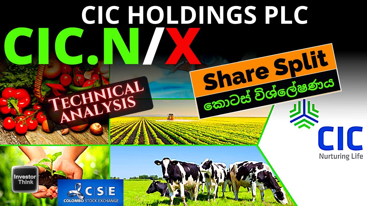 CIC HOLDINGS PLC | CIC.N | CIC.X | Technical Analysis | Sub-division of ...