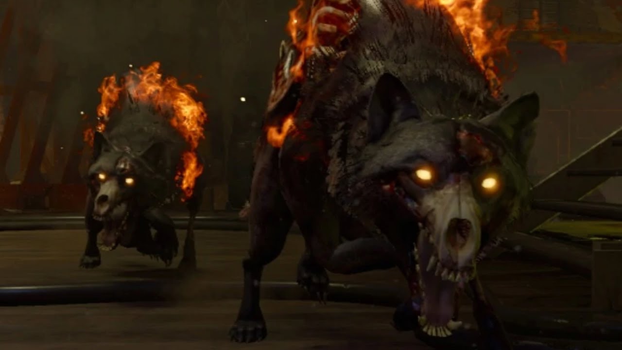 COD Zombies: Dog Round Stingers - YouTube