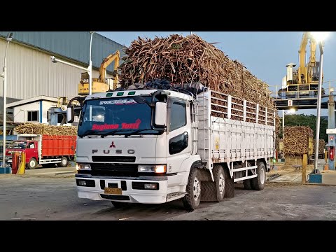 Truk Mewah Pengangkut Tebu | FUSO Super Great Musla Trans Utama