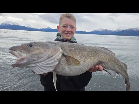 3 Days Surf Fishing Alaska for Big Cod
