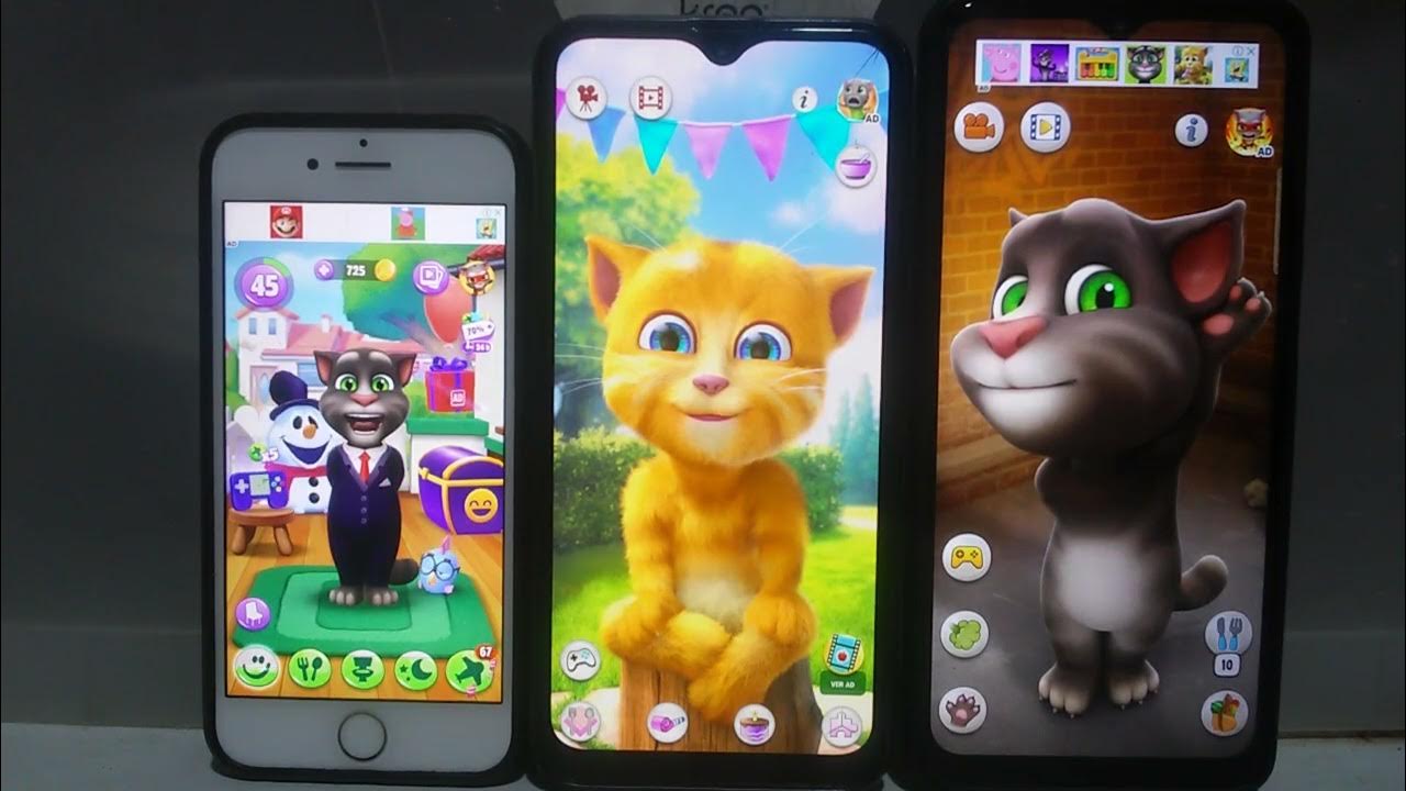 My Talking Tom 2 Echo VS Talking Ginger 2 Echo VS Talking Tom Echo 856 - YouTube