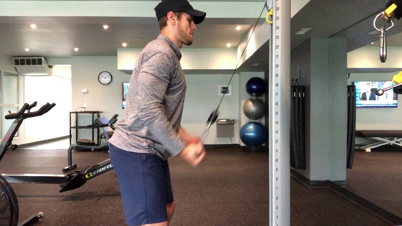 Supinated Straight Bar Tricep Extension - YouTube