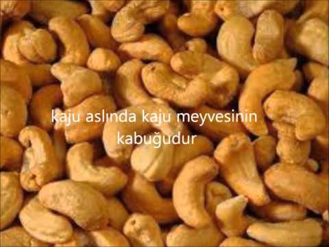 32 saniyelik kısa bilgiler