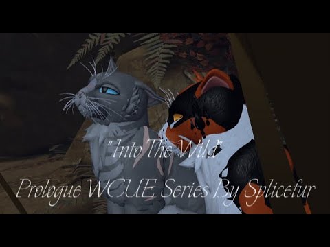 "Into The Wild" Prologue WCUE Series (CANCLED SWITCHED TO RUSTCLAW AU ...