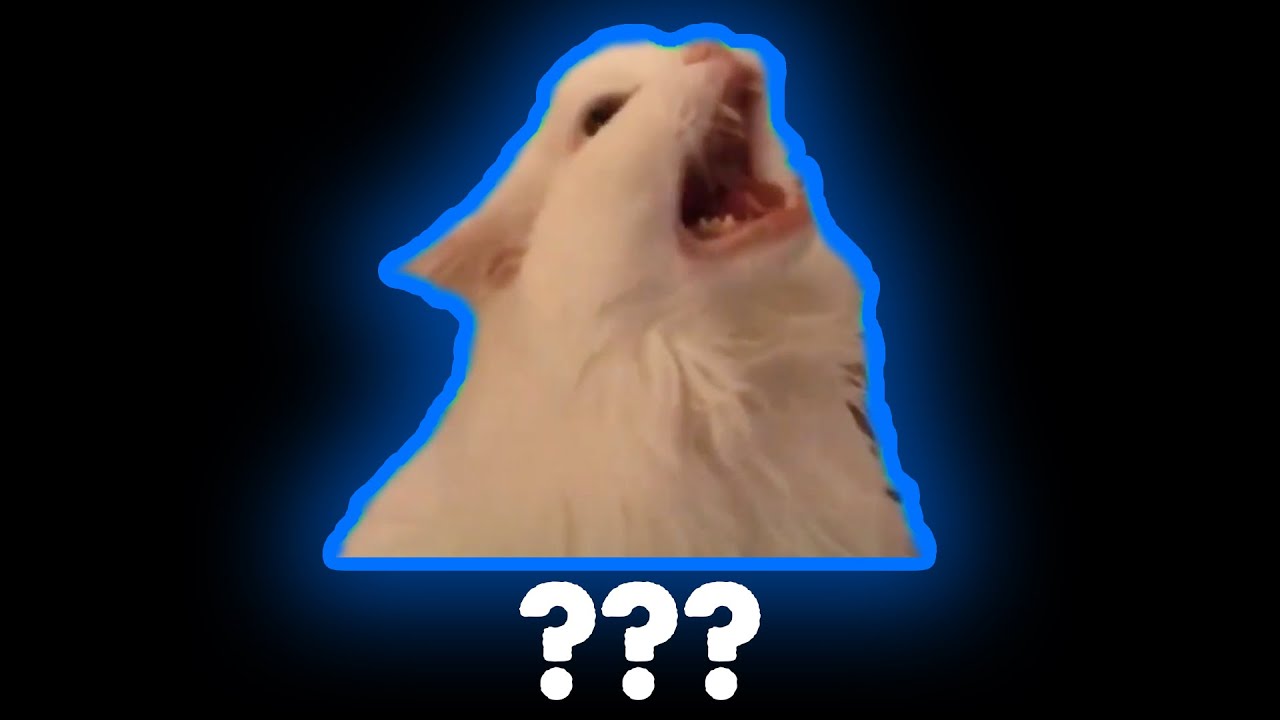 Cat Meme Sound Variations | Thurston Waffles Meme - YouTube