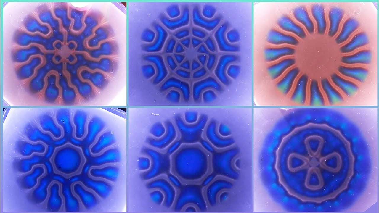 Circular magnet arrays interacting with each other - amazing footage ...