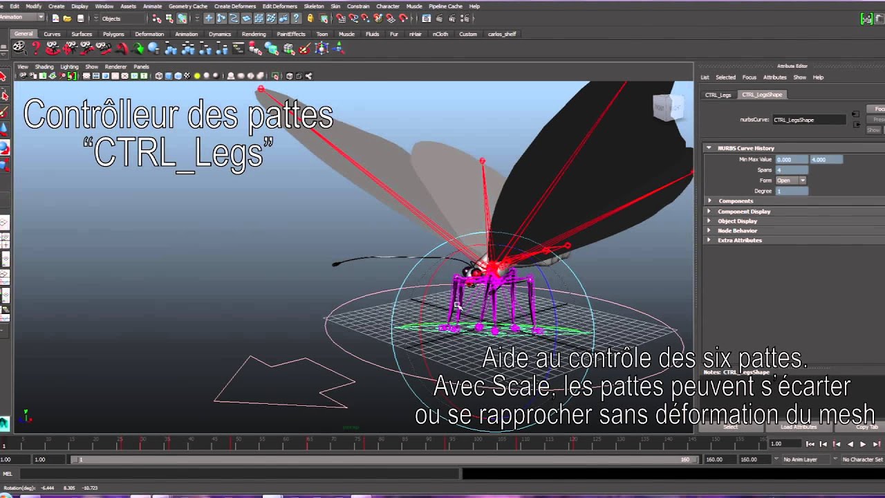 [Work] Butterfly Rig - YouTube