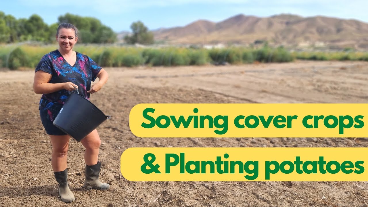 Episode 18 - Sowing winter cover crops and planting potatoes ...