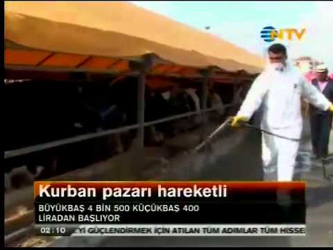NTV KURBAN PAZARLARI HAREKETLENDİ