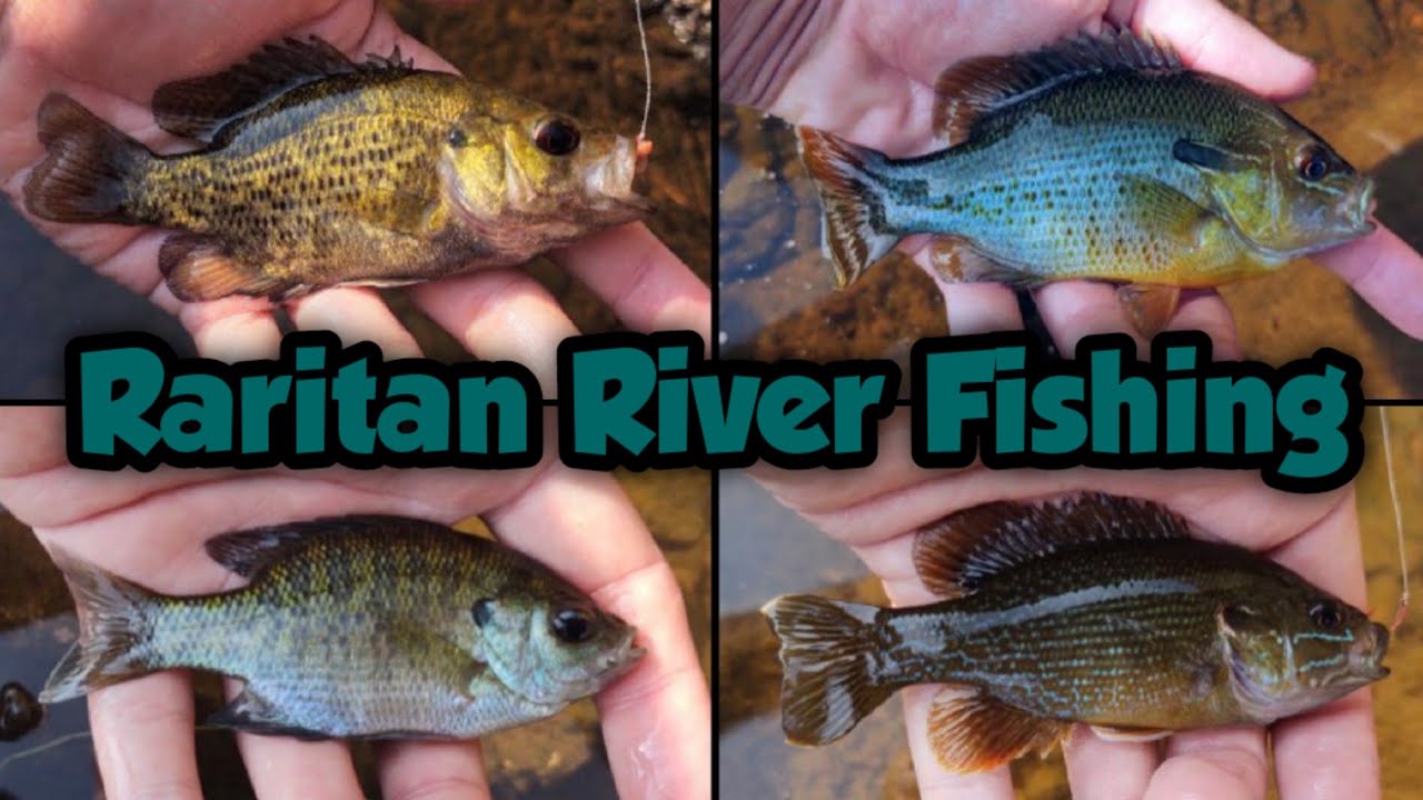 Raritan River Fishing - YouTube