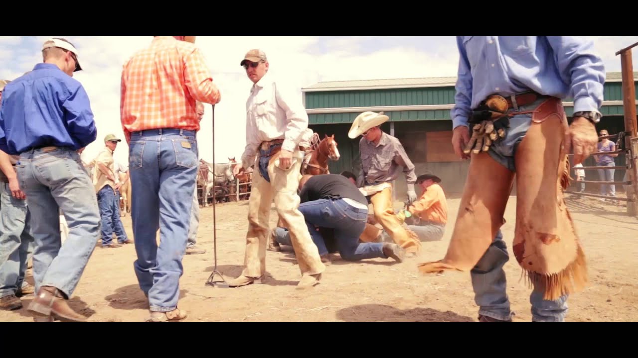 The Branding (T Cross Ranches Documentary of Robert C. Norris) - YouTube