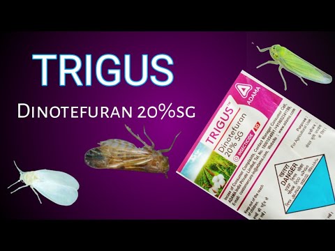 Dinotefuran 20% sg ll how to use Trigus ll Trigus কিভাবে ব্যবহার করবো ...