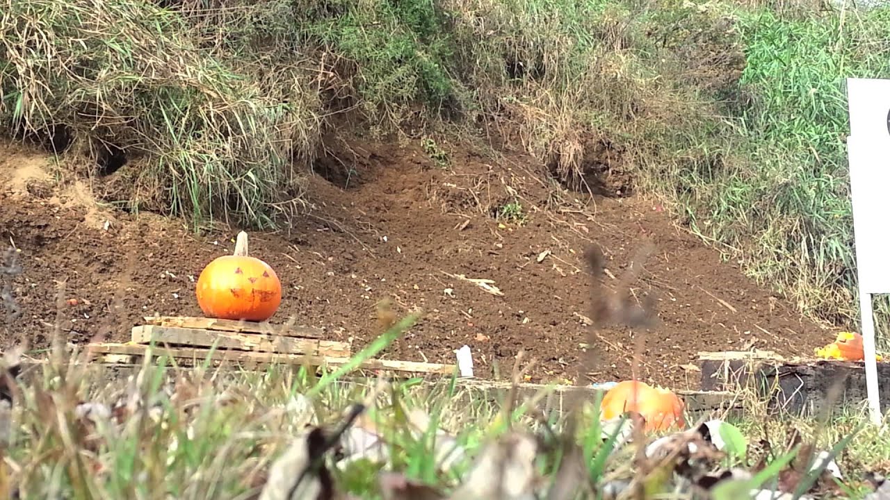 Target Shooting at 100 Meters - YouTube