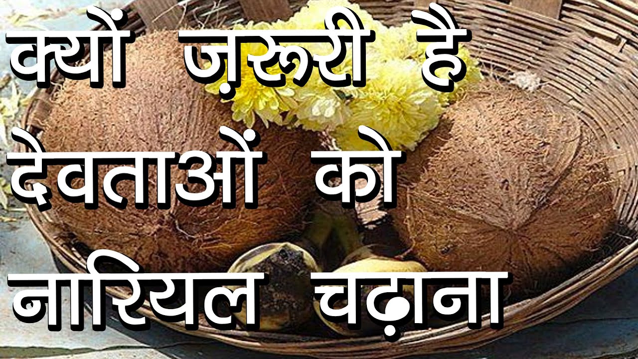 क्यों ज़रूरी है देवताओं को नारियल चढ़ाना | Nariyal Ka pooja mein ...