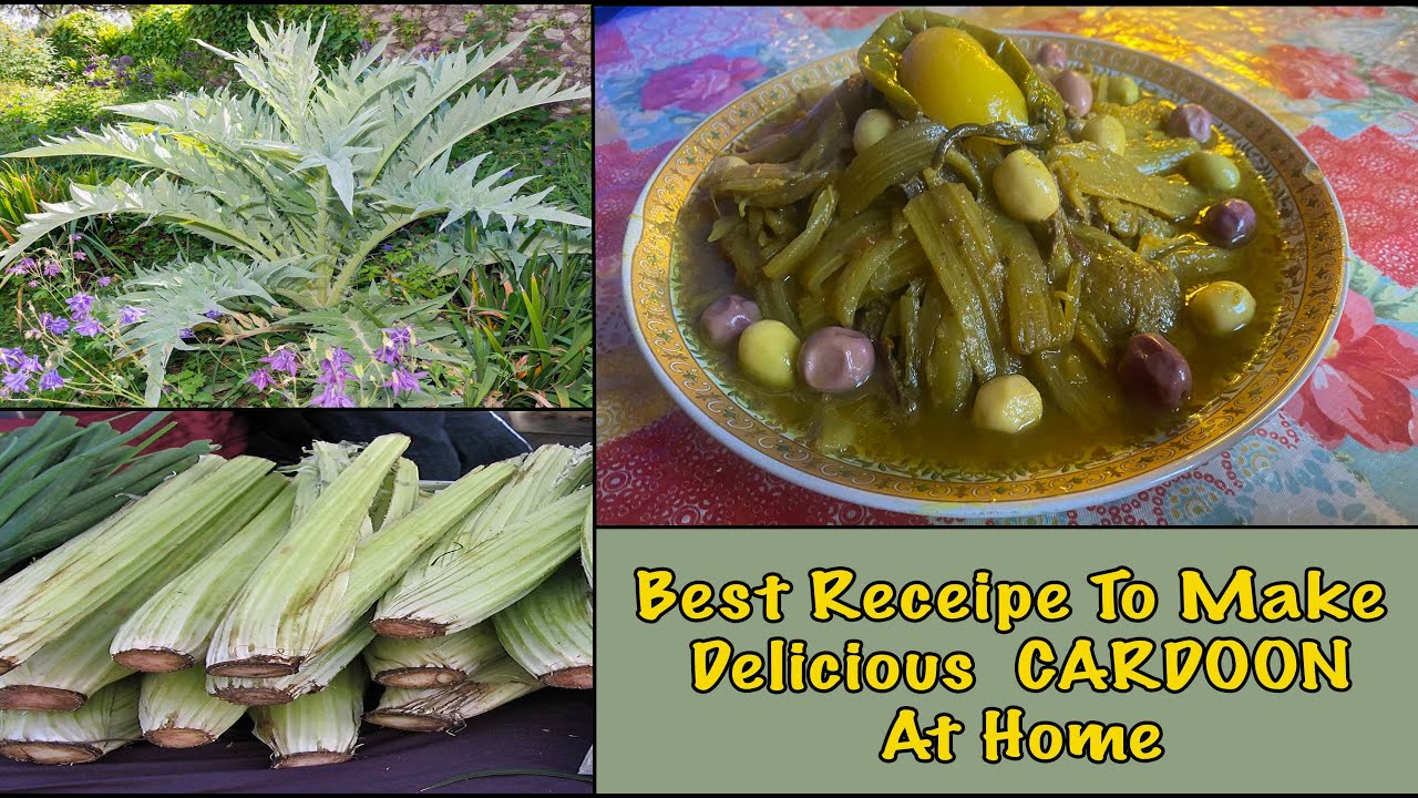 The Right Way To Cook CARDOON At Home - YouTube