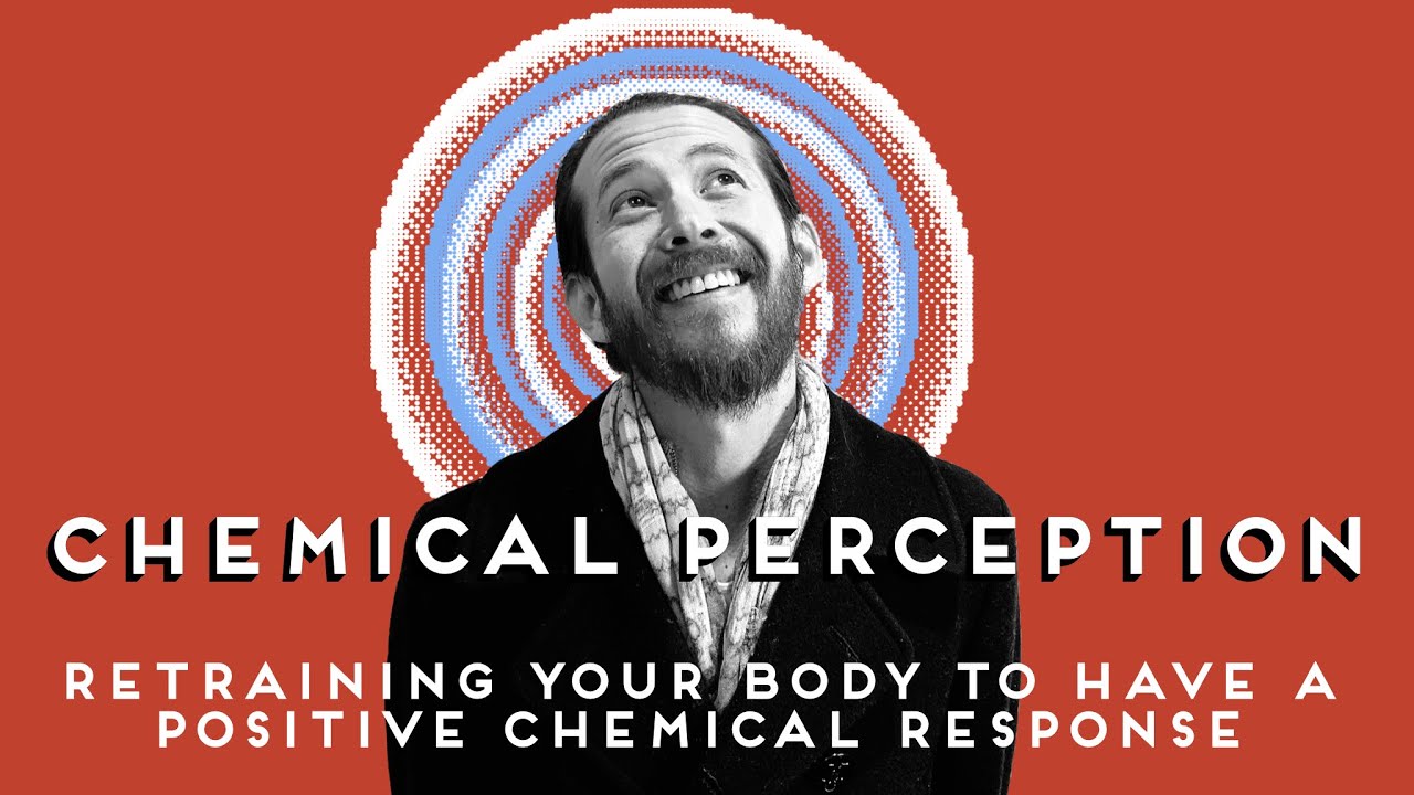 Chemical Perception - YouTube