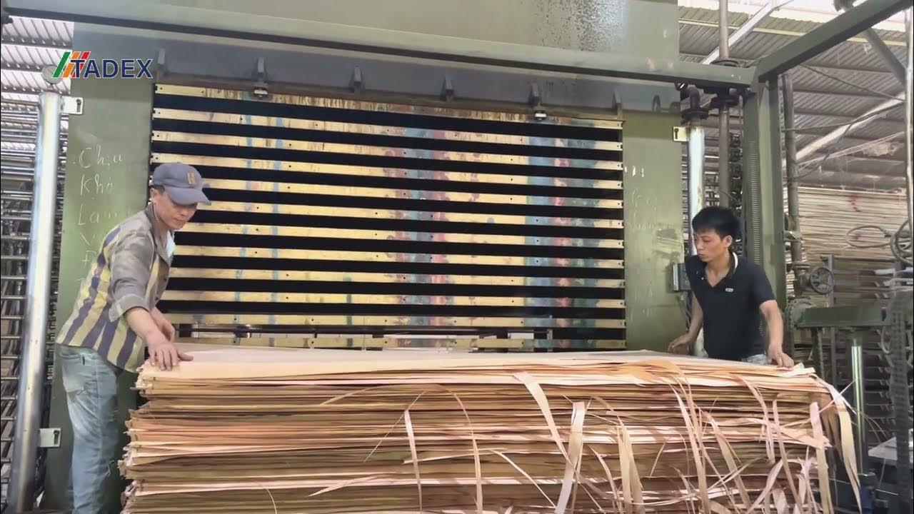 TADEX Okoume Furniture Plywood, Vietnam Origin Carb P2 certificated - YouTube