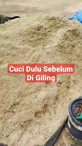 Cuci Pongkol Telo Sebelum Giling #pakanternak - YouTube