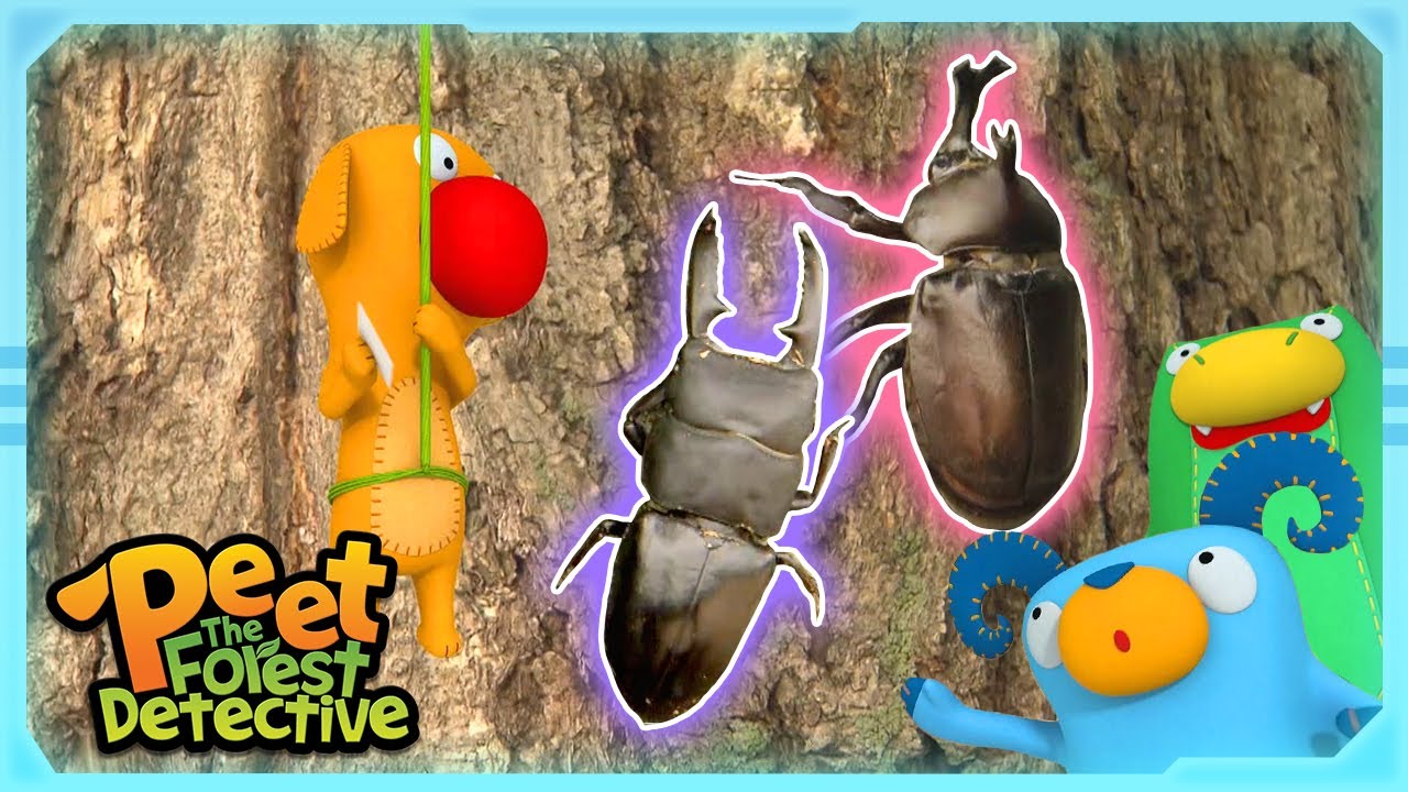 Beetles to the Rescue | Animal Stories For Kids | Peet The Forest ...