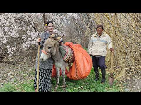 İran’da Köy Hayatı | İsrail ve İran Savaşı Sırasında Nevruz’da Barış Sözü