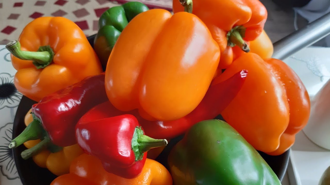 How to Freeze Green Peppers Vriezer Paprika barbaroni sida lo xananeyo ...