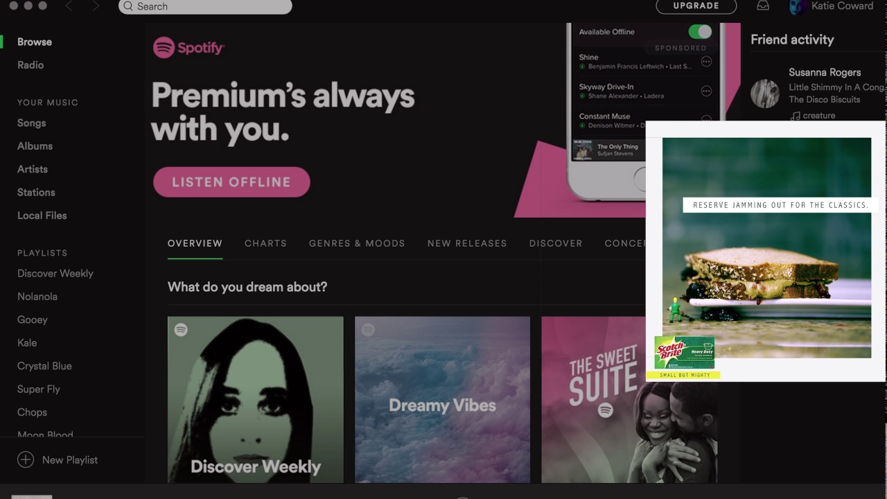 Spotify Banner YouTube Spotify Banner YouTube