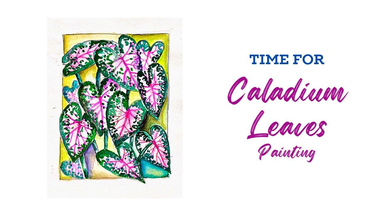 How to Paint Caladium Leaves |Simple watercolor painting | Watercolor ...