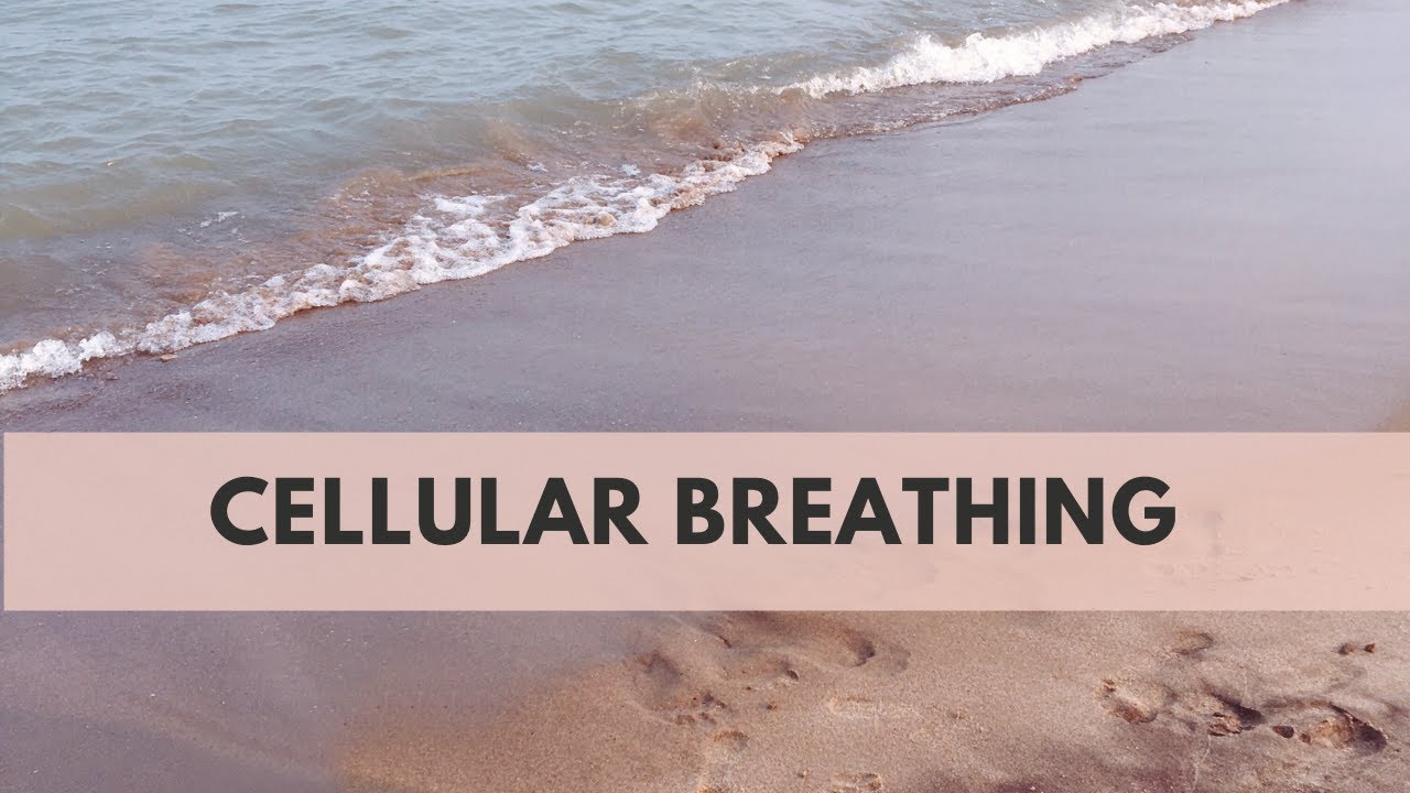 Cellular Breathing | Fluid Soma - YouTube