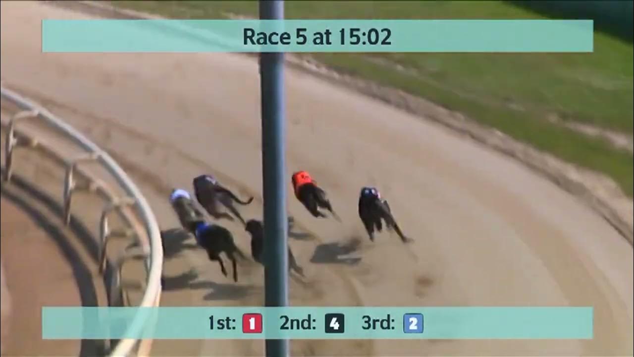 Monmore Greyhounds Races on 24th May 2023 - YouTube Monmore Greyhounds Races on 24th May 2023 - YouTube