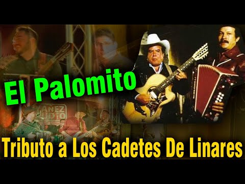 El palomito Tributo a Los Cadetes De Linares - YouTube