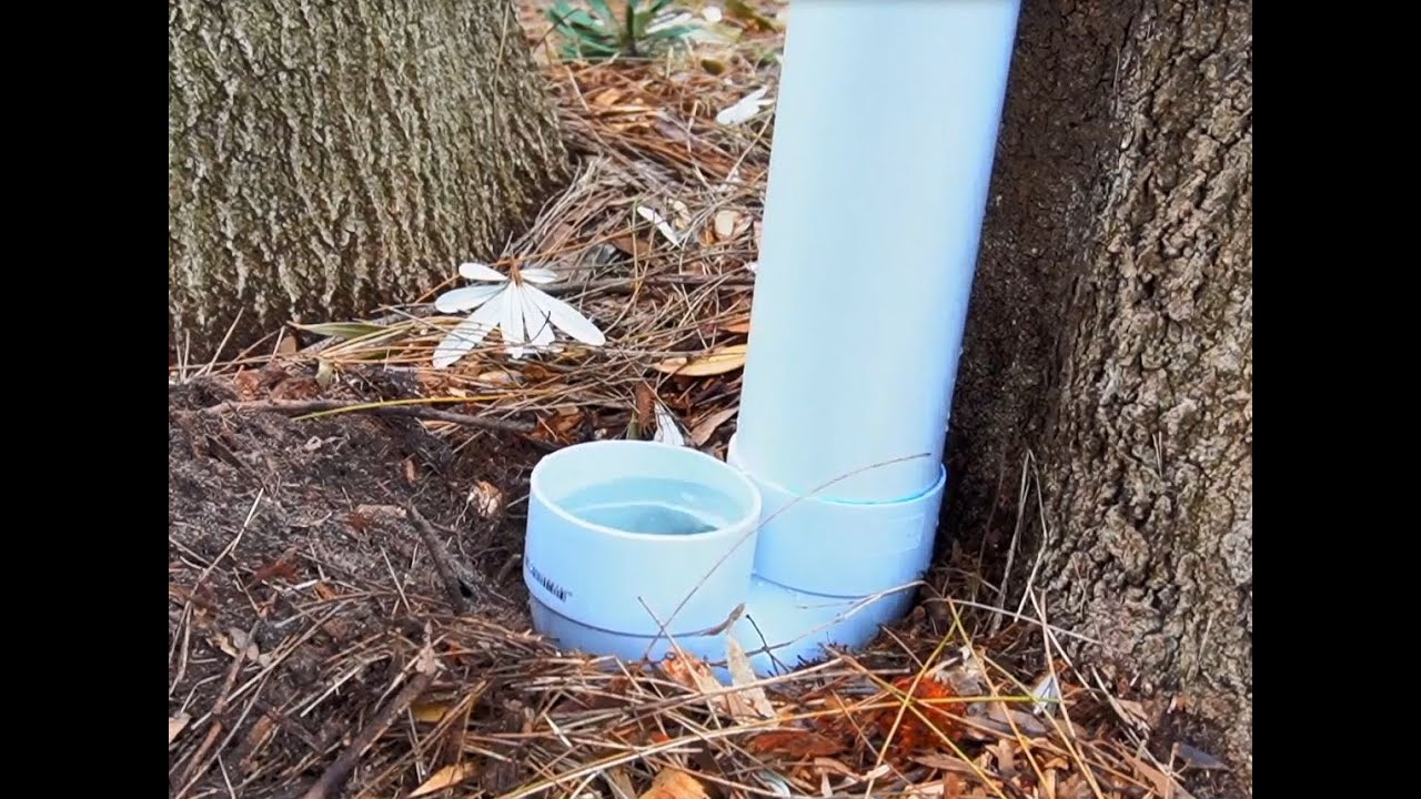 DIY water station for wildlife in your backyard - YouTube