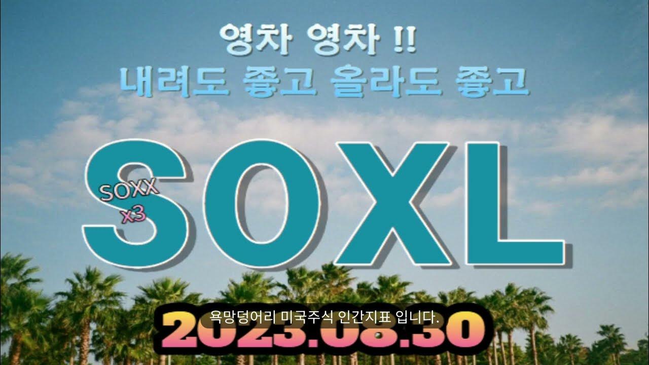 나스닥 떡상 가자 ... 8월30일 SOXL 주가 전망 - YouTube