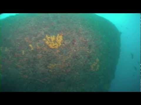 Unknown shipwreck