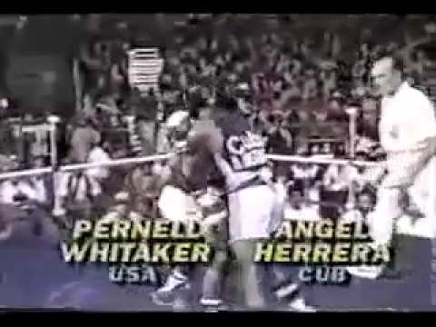 Pernell Whitaker (USA) vs. Ángel Herrera (CUB) Pan-American Games 1983 Final (60kg)