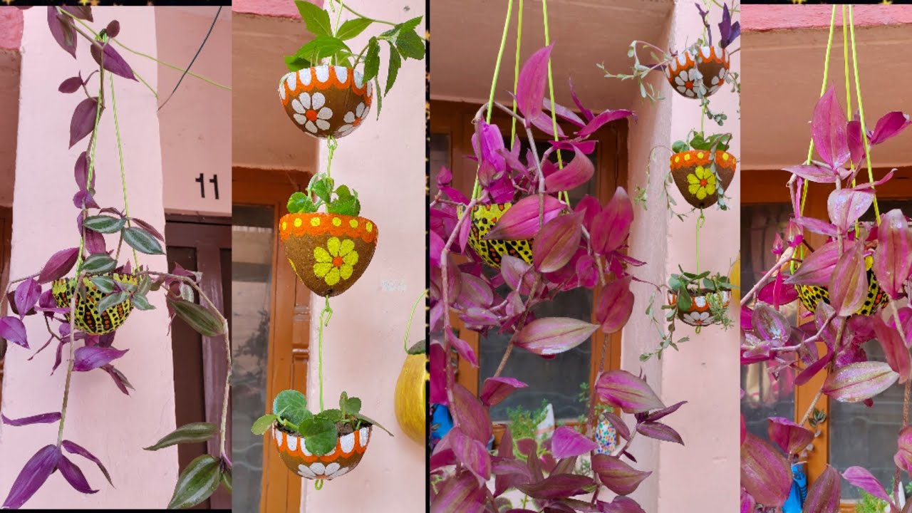 Coconut shell planters || Beautiful Planters from waste coconut shell ...