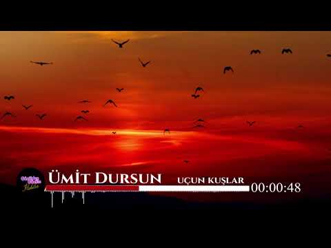 Müziksiz İlahi 🕋 Uçun Kuşlar Medine ye  🕋 Ümit Dursun Yeni Okuma 2021