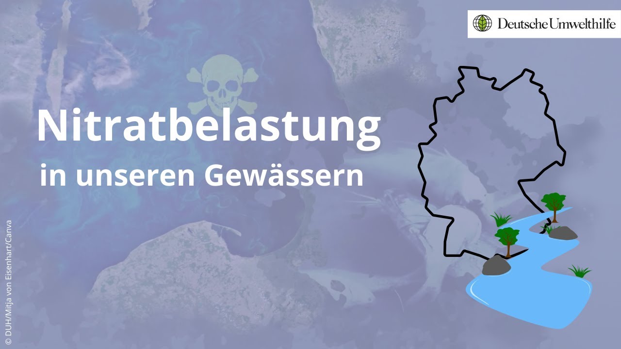 Kurz Erklärt: Zu viel Nitrat belastet unsere Gewässer - YouTube