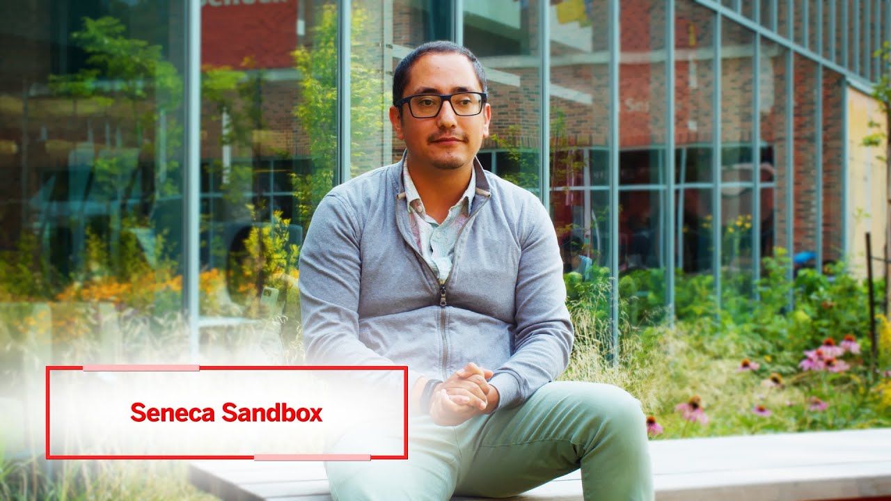 Seneca Service Areas: Seneca Sandbox - YouTube