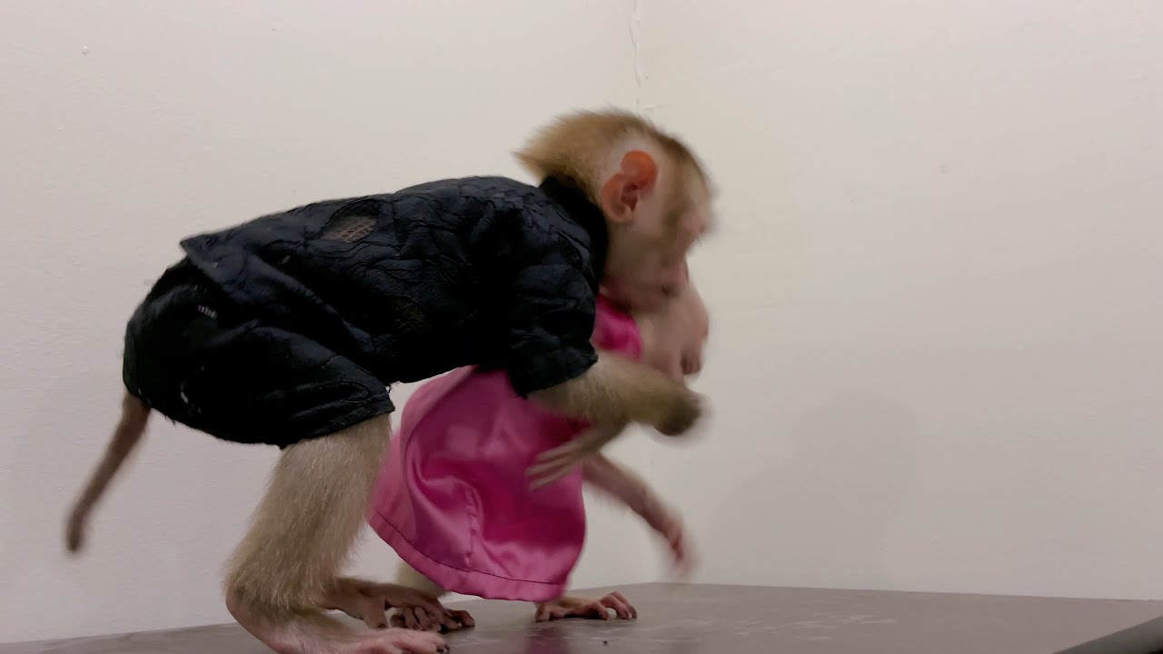 Baby Tav Tav And Mary Waiting Mom From The Store To Buy Fruit - YouTube