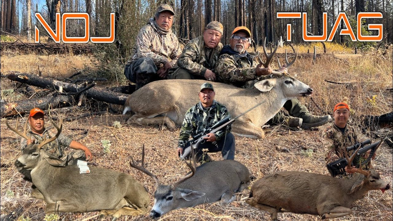 Hmong California Hunting 2024 - YouTube