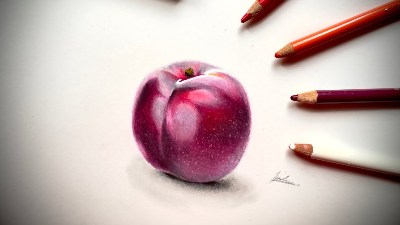 drawing of plum with color pencil \ how to draw plum fruit \ realistic ...