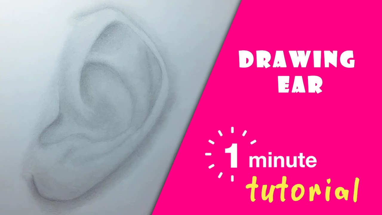 How To Draw An Ear From The Side || One Minute Tutorial - YouTube