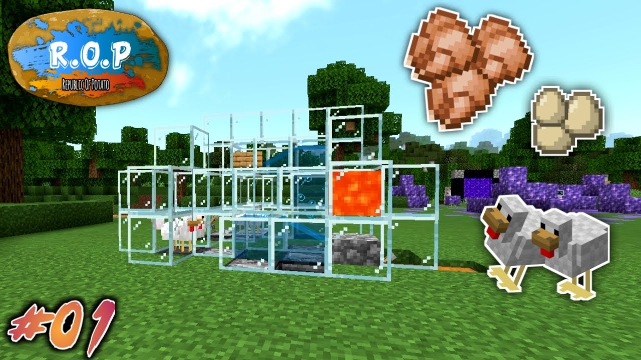 FARM OTOMATIS AYAM | ROP #01 - Minecraft Bedrock Indonesia - YouTube