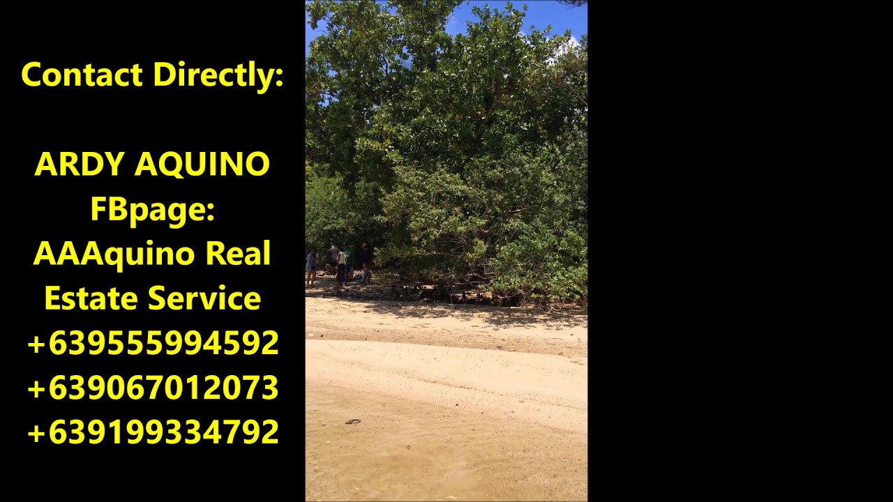 6 Hectares lot with white sand beach front in Divilacan Isabela For ...