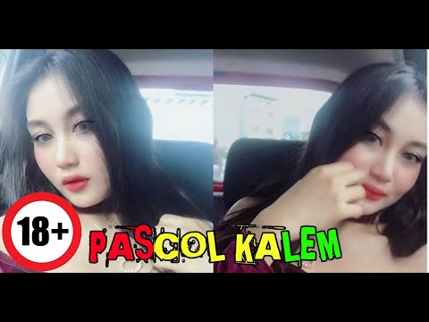 Pamela safitri Part II