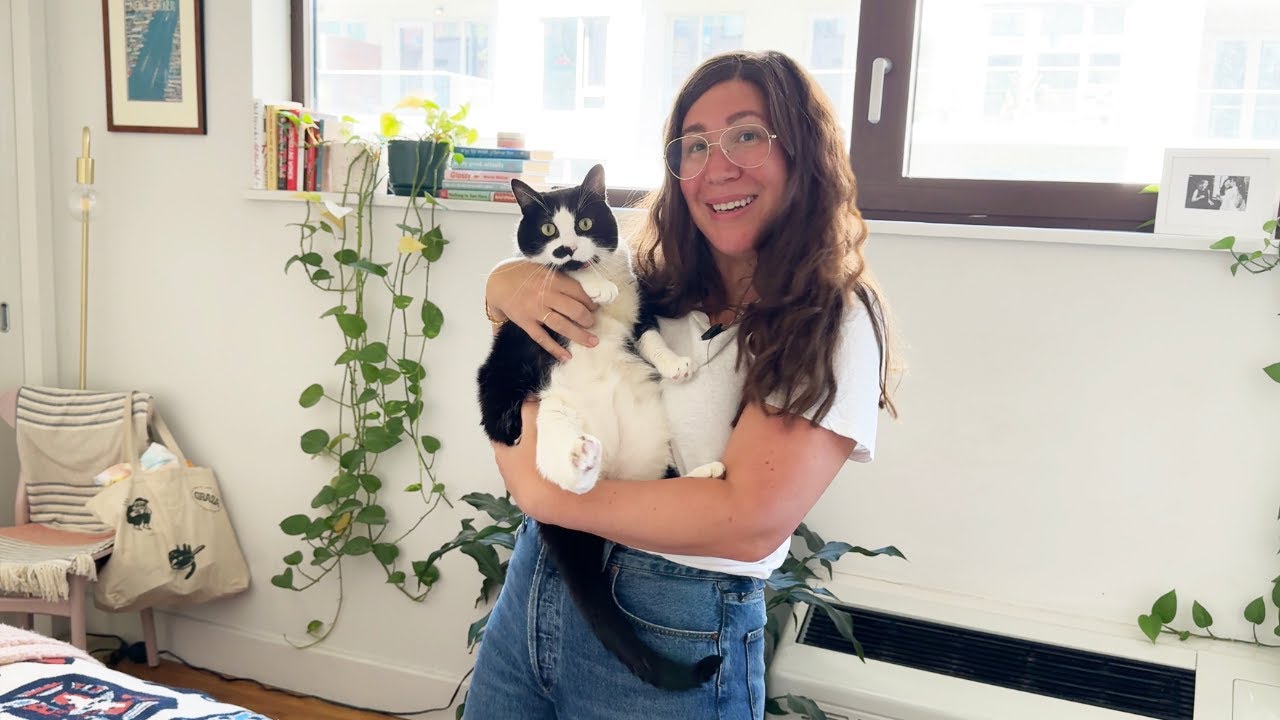 This cat has a funny obsession | Alison Leiby Cat Lady Home Tour - YouTube