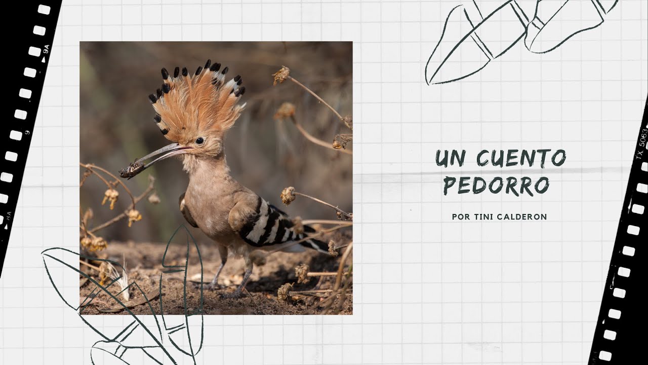 Un cuento pedorro por Tini Calderón - YouTube