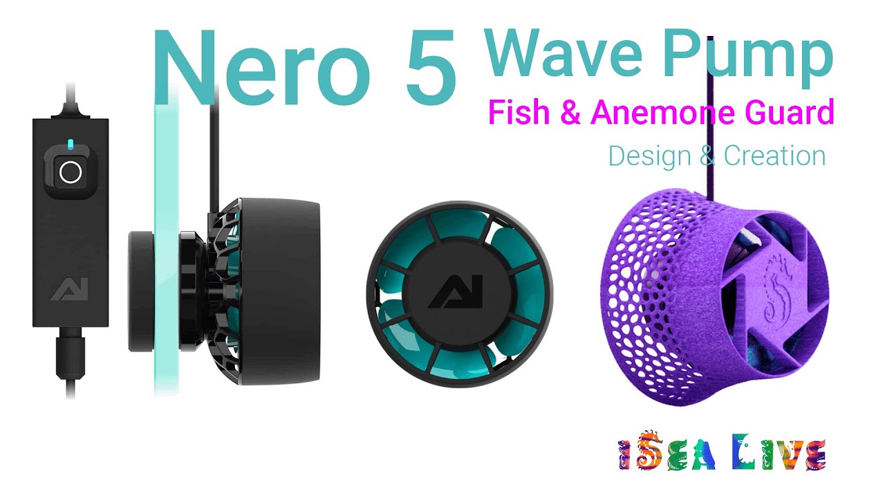 Nero 5 Fish & Anemone Guard | Design & Creation | Aquaillumination ...